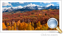 Colorado Fall Colors across the Dallas Divide Range
