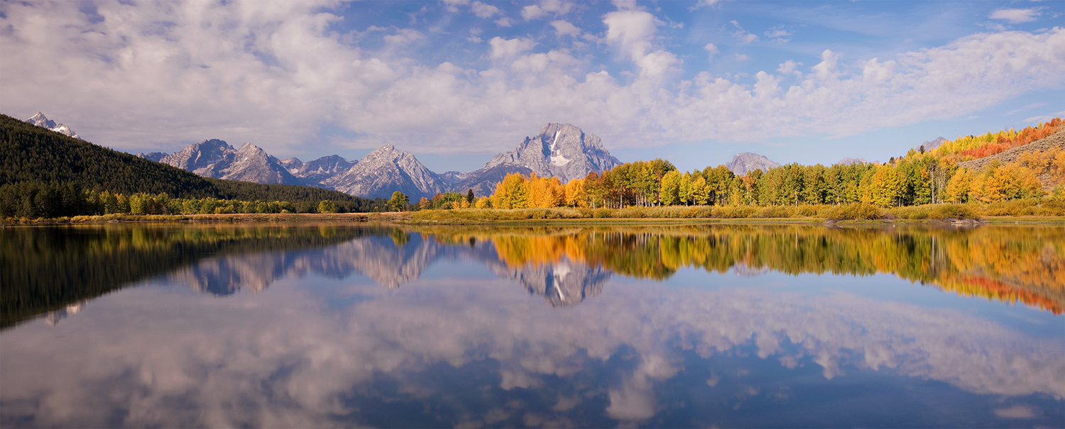 Yellowstone Park & Wildlife Photographs by Stephen Oachs