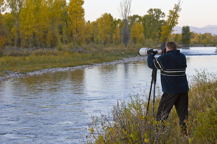 Yellowstone Park & Wildlife Photographs by Stephen Oachs